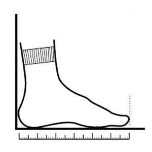 Whitin Shoes Size Chart Table + Measuring Instruction